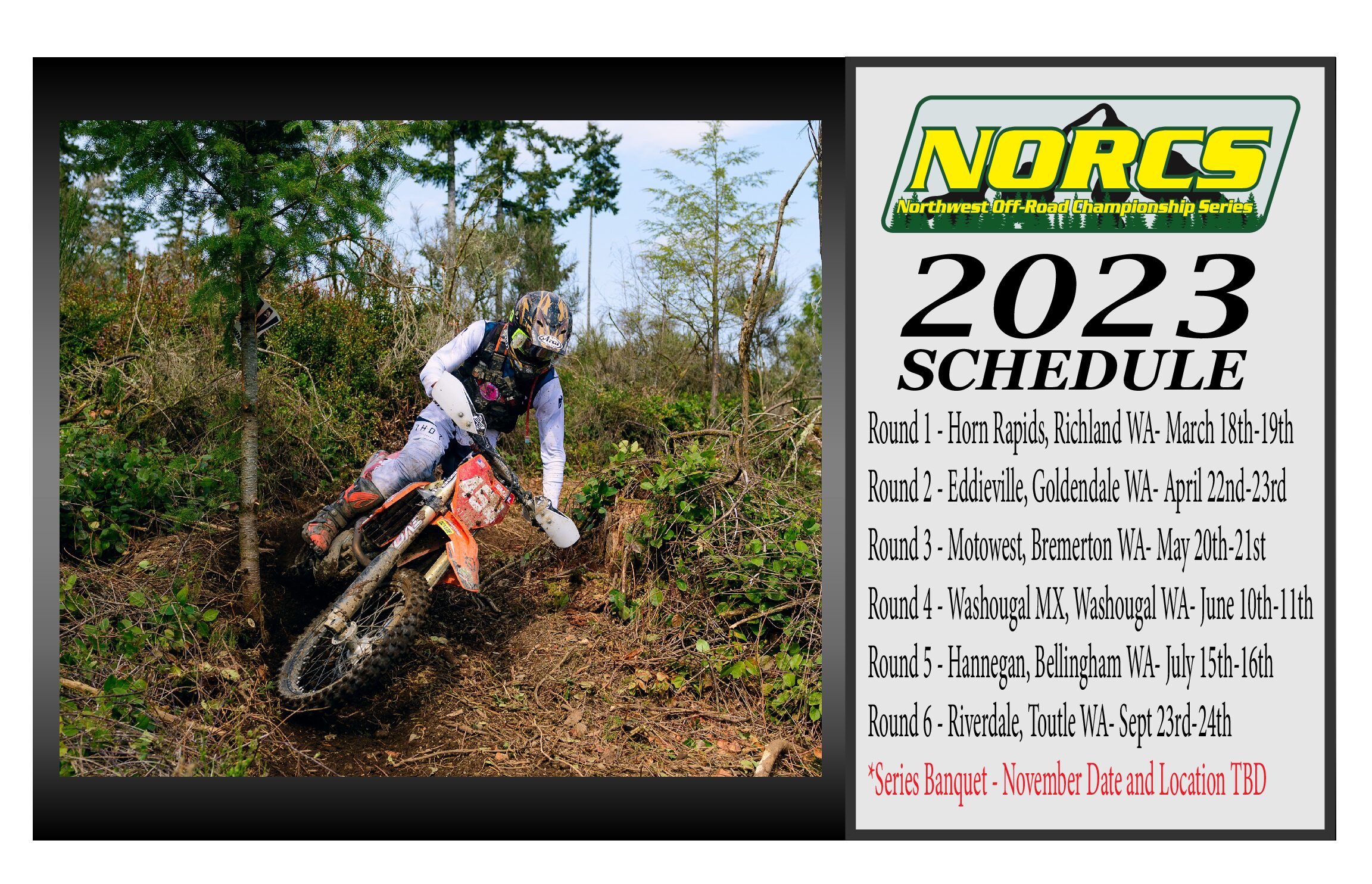 Team Tortoise Racing